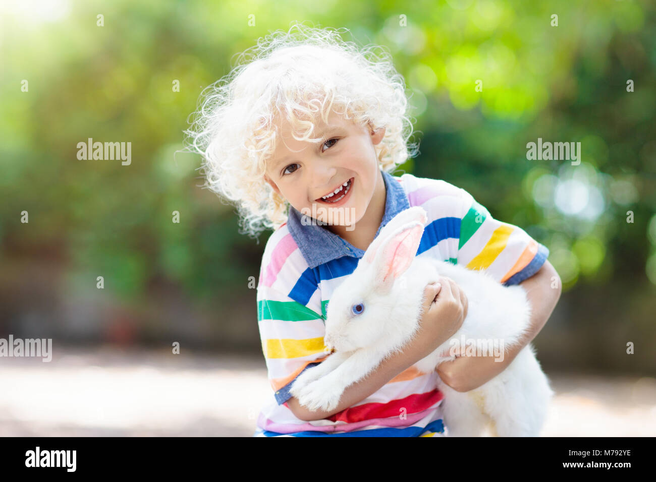 Child playing with white rabbit. Little boy feeding and petting white ...