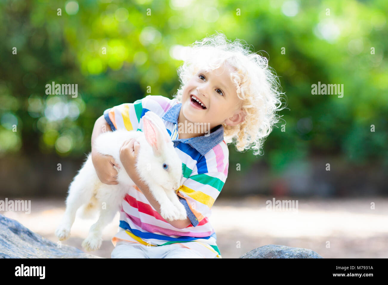Child playing with white rabbit. Little boy feeding and petting white ...