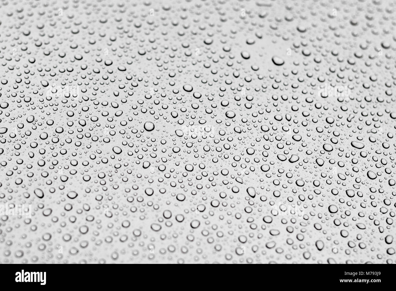 Texture of water drops on grey metal background. Small various drops ...