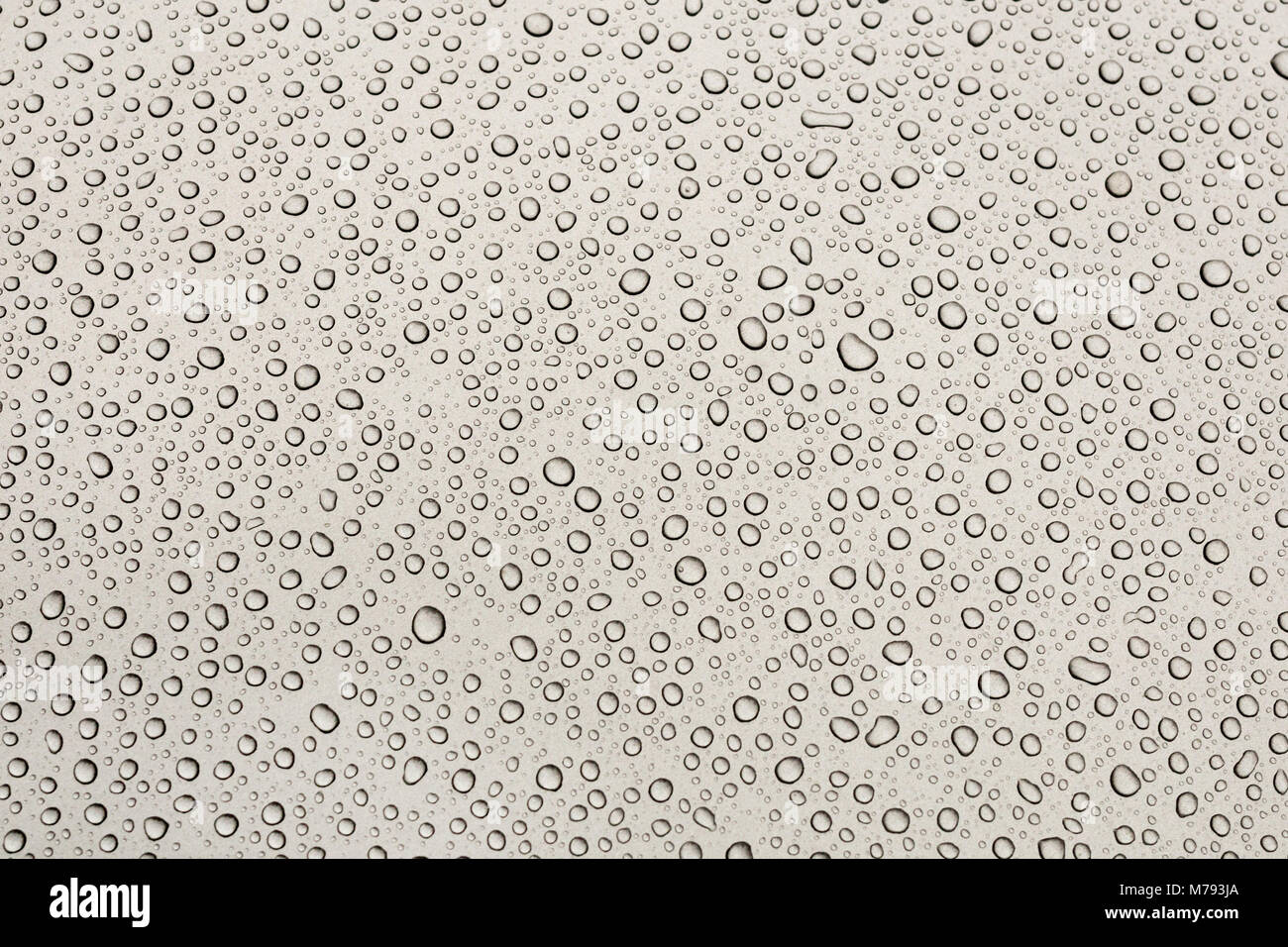 Texture of water drops on grey metal background. Small various drops ...
