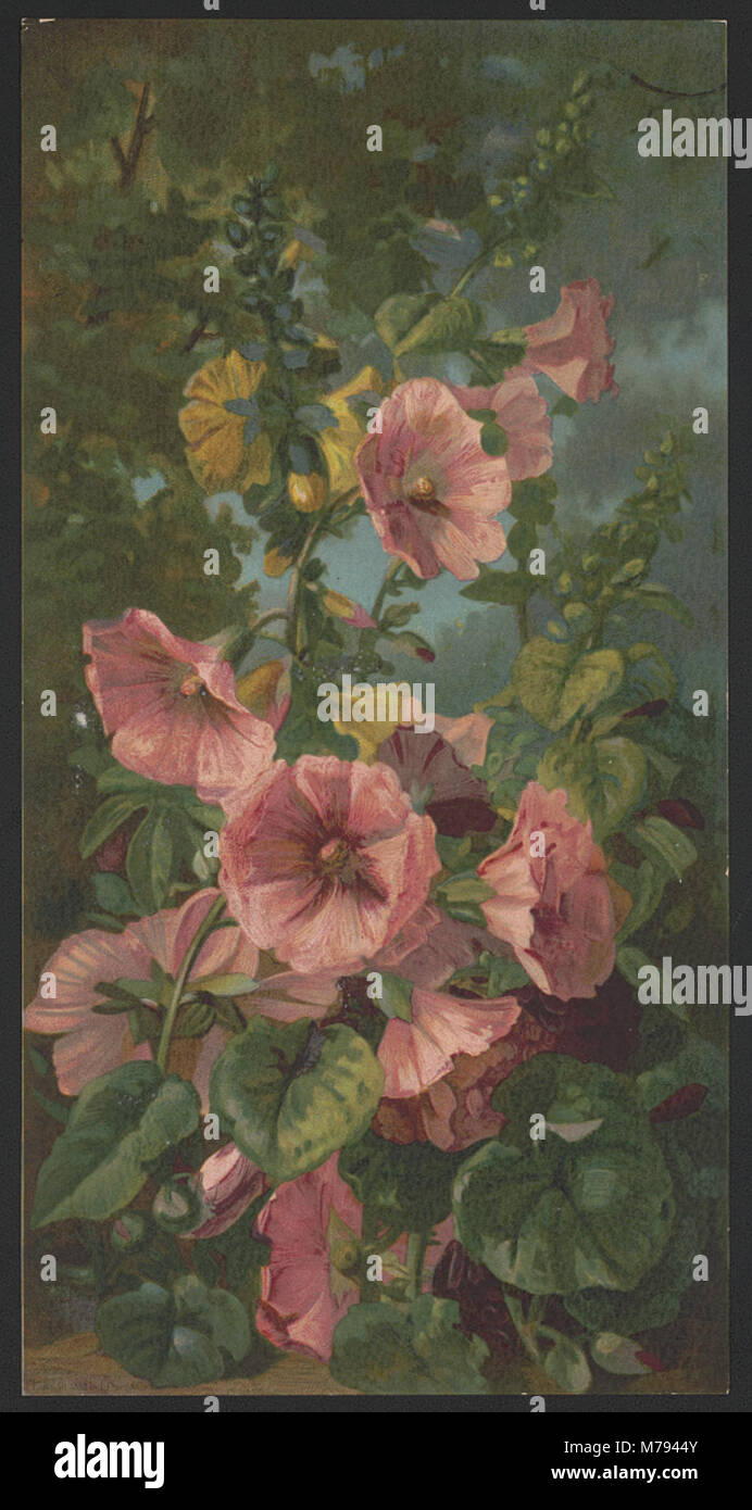 Botanical artwork captures hi-res stock photography and images - Alamy