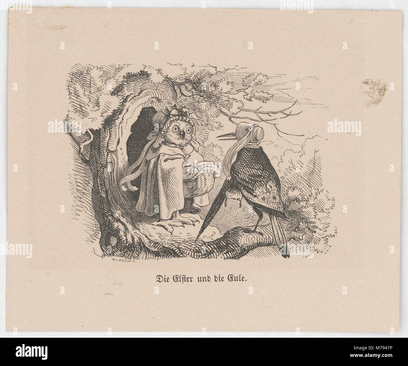 A lithograph titled 'The Magpie and the Owl' by Allanson, depicting the ...