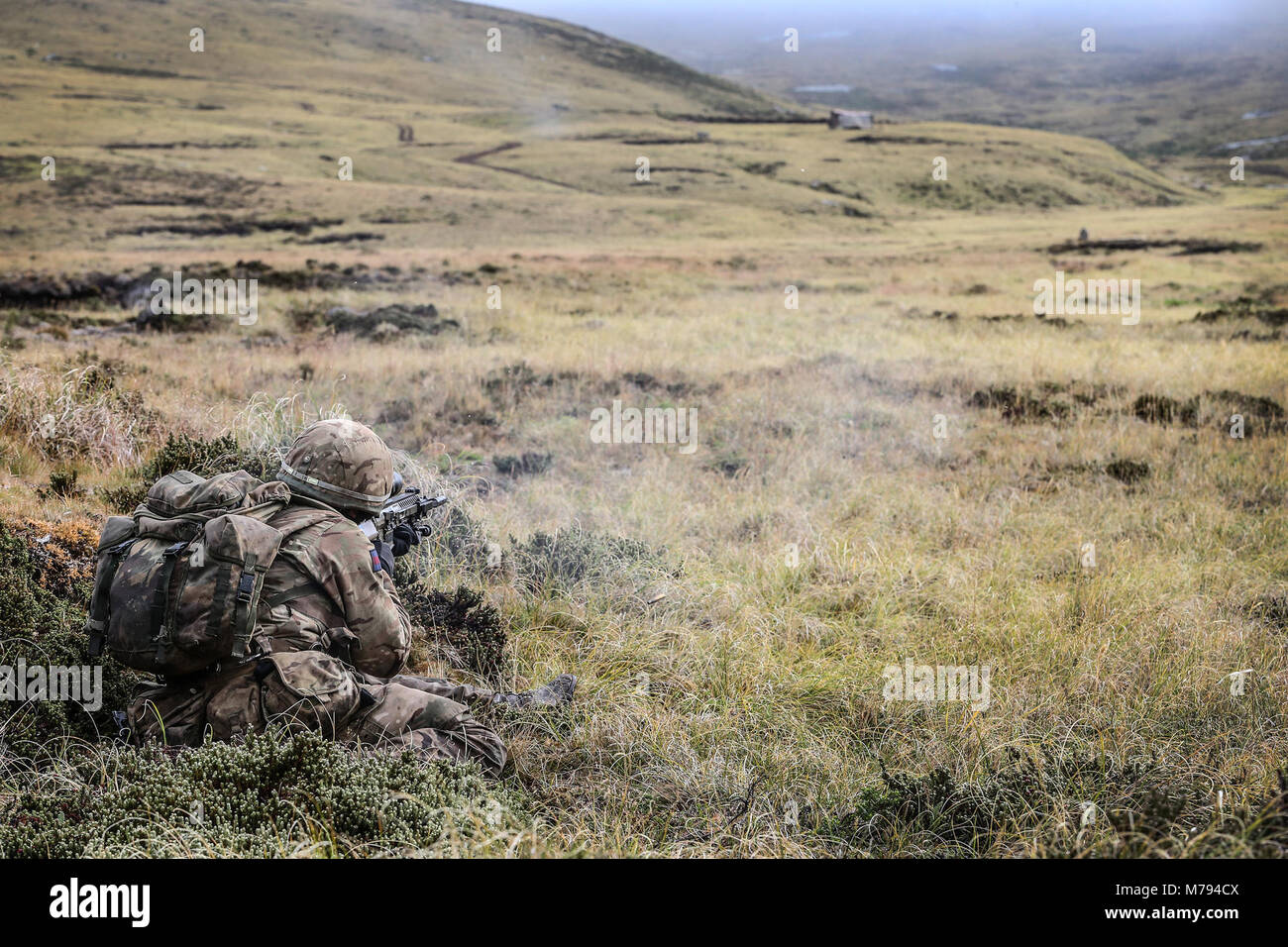 A military photograph showing the Household Division on the Onion Range ...