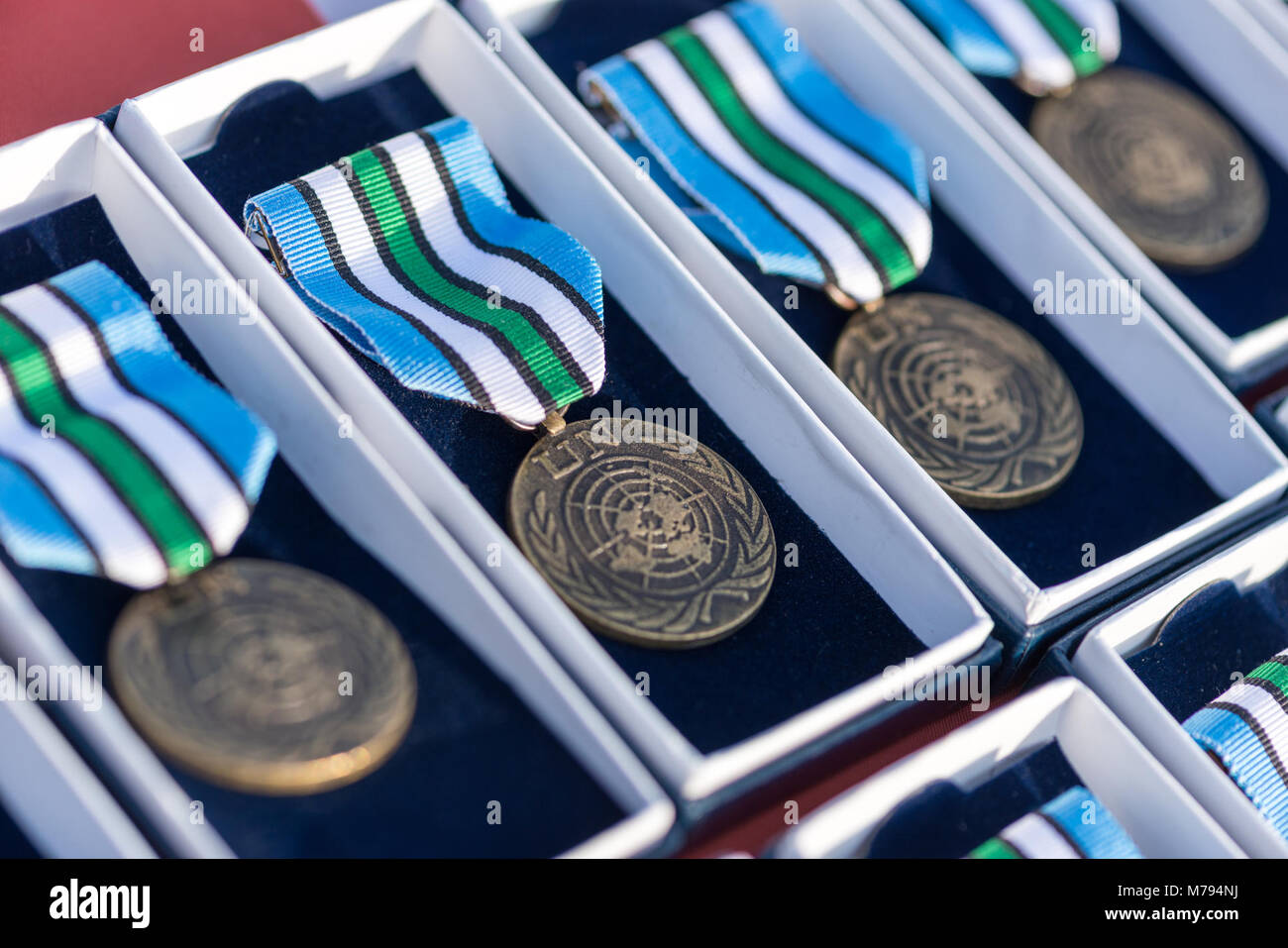 Op TRENTON-Medal Parade MOD 45163473 Stock Photo - Alamy