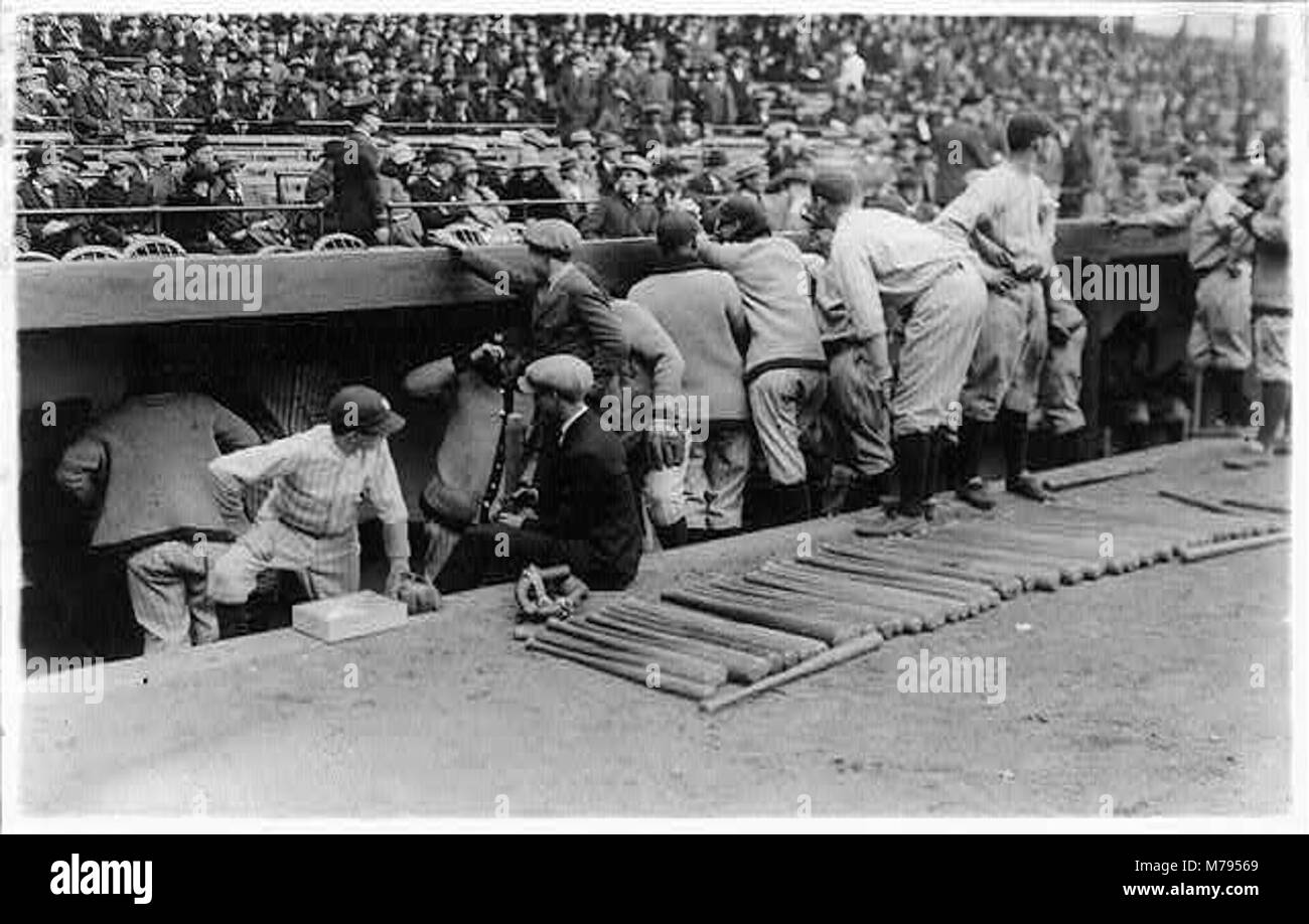 A series of photographs capturing various baseball parks across the ...