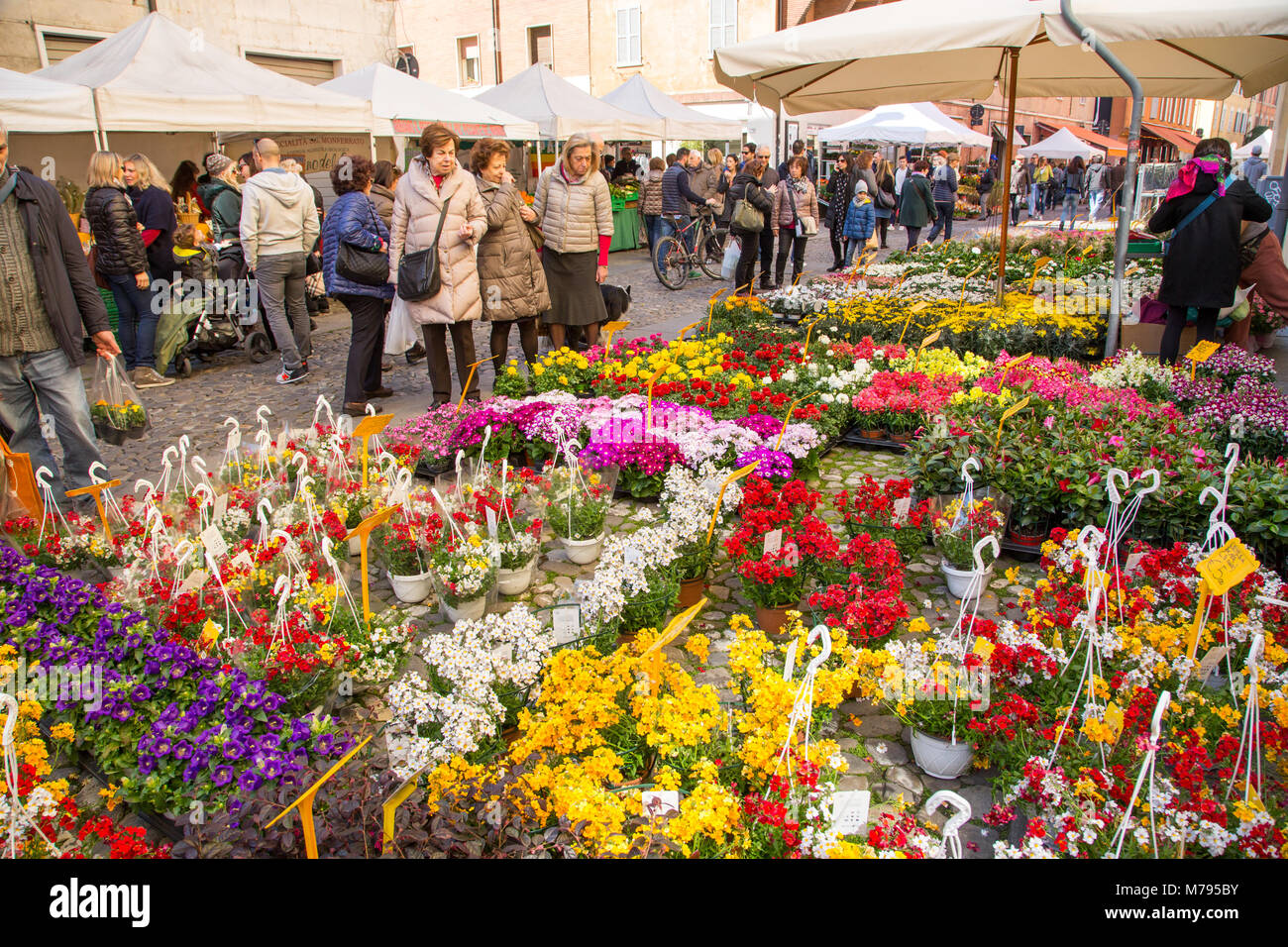 Flower market in Modena Italy Stock Photo - Alamy
