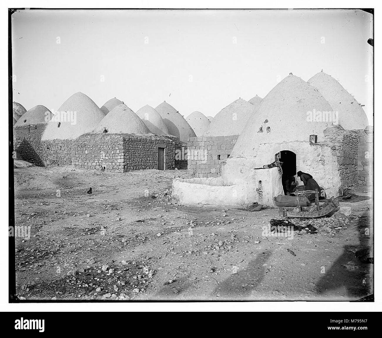 Photograph showing traditional bee-hive homes in Moselmeih, Syria ...