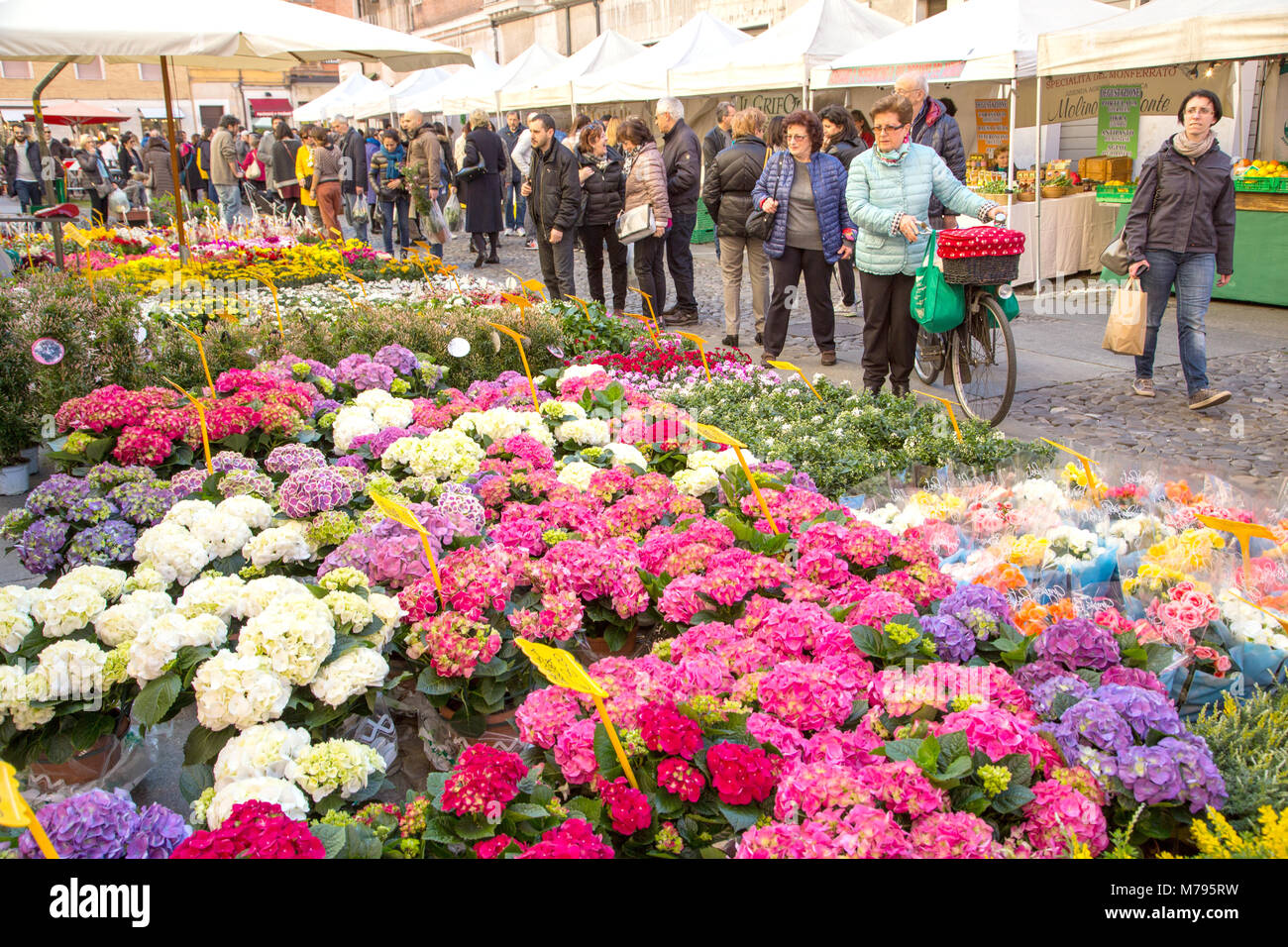 Flower market in Modena Italy Stock Photo - Alamy