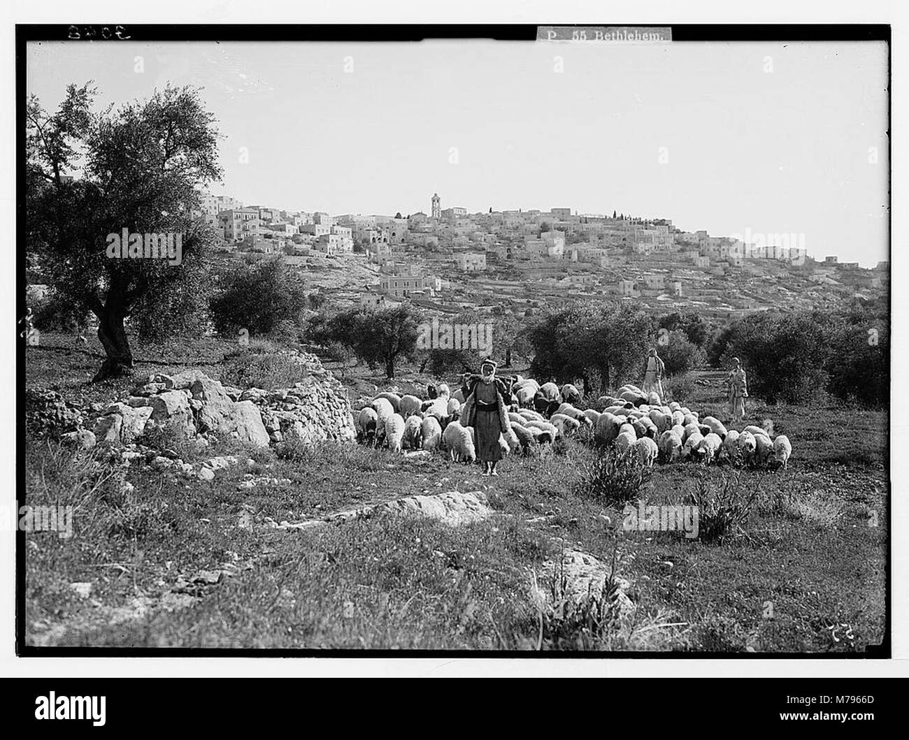This photograph shows the traditional view of Bethlehem with shepherds ...