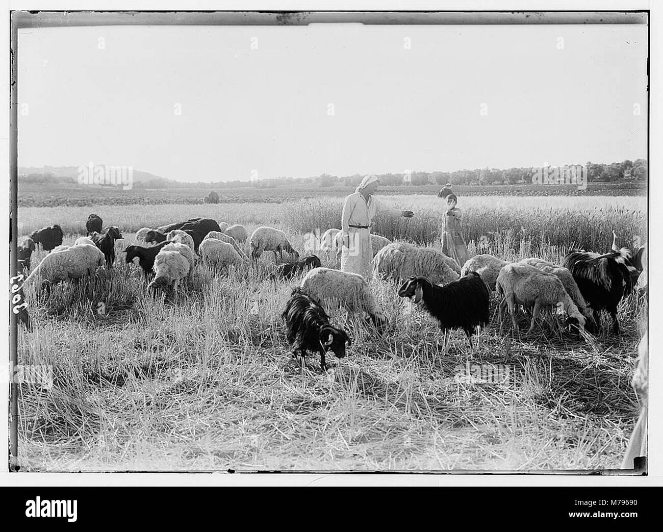 Grain agricultural fields Black and White Stock Photos & Images - Alamy
