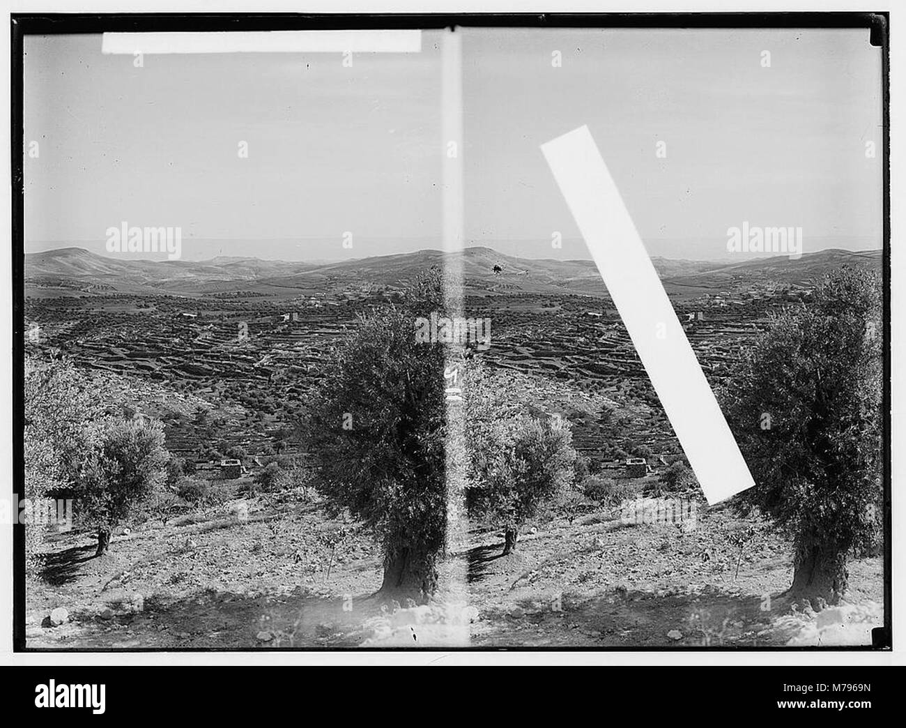 Image of the Shepherd's Field near Bethlehem, depicting the historical ...