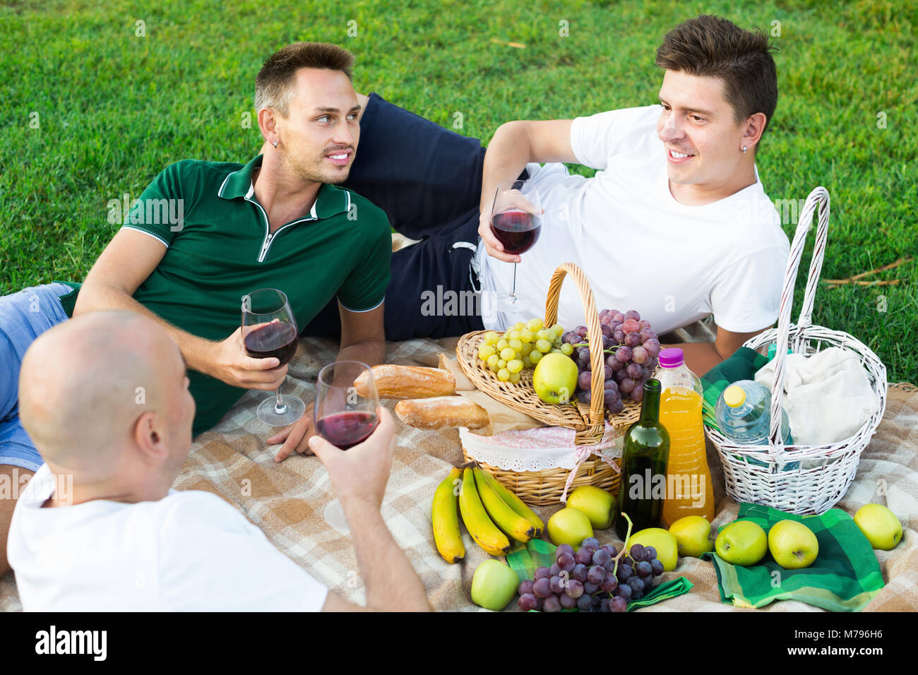 Company of positive male friends enjoying on picnic outdoors together ...