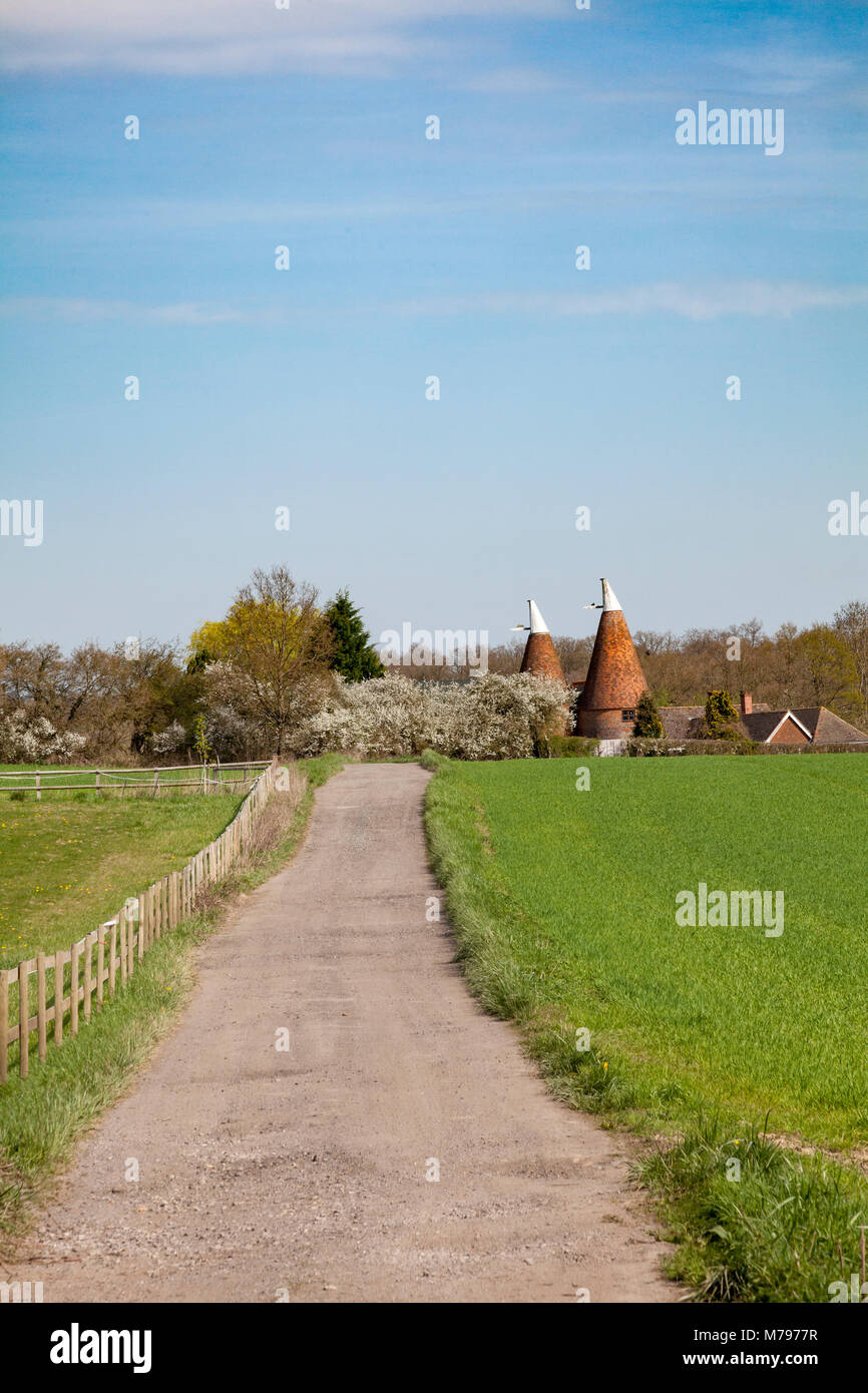 Weald of kent tree hi-res stock photography and images - Alamy
