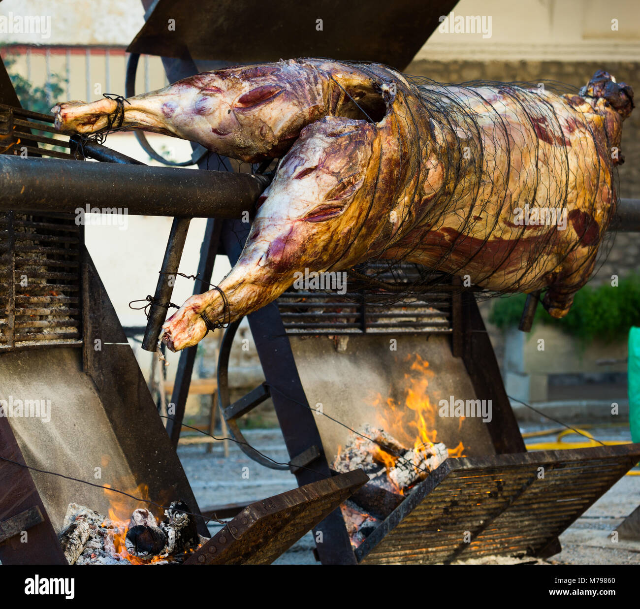 Close-up carcass of whole bull roasting on spit at Medieval Fiesta in ...