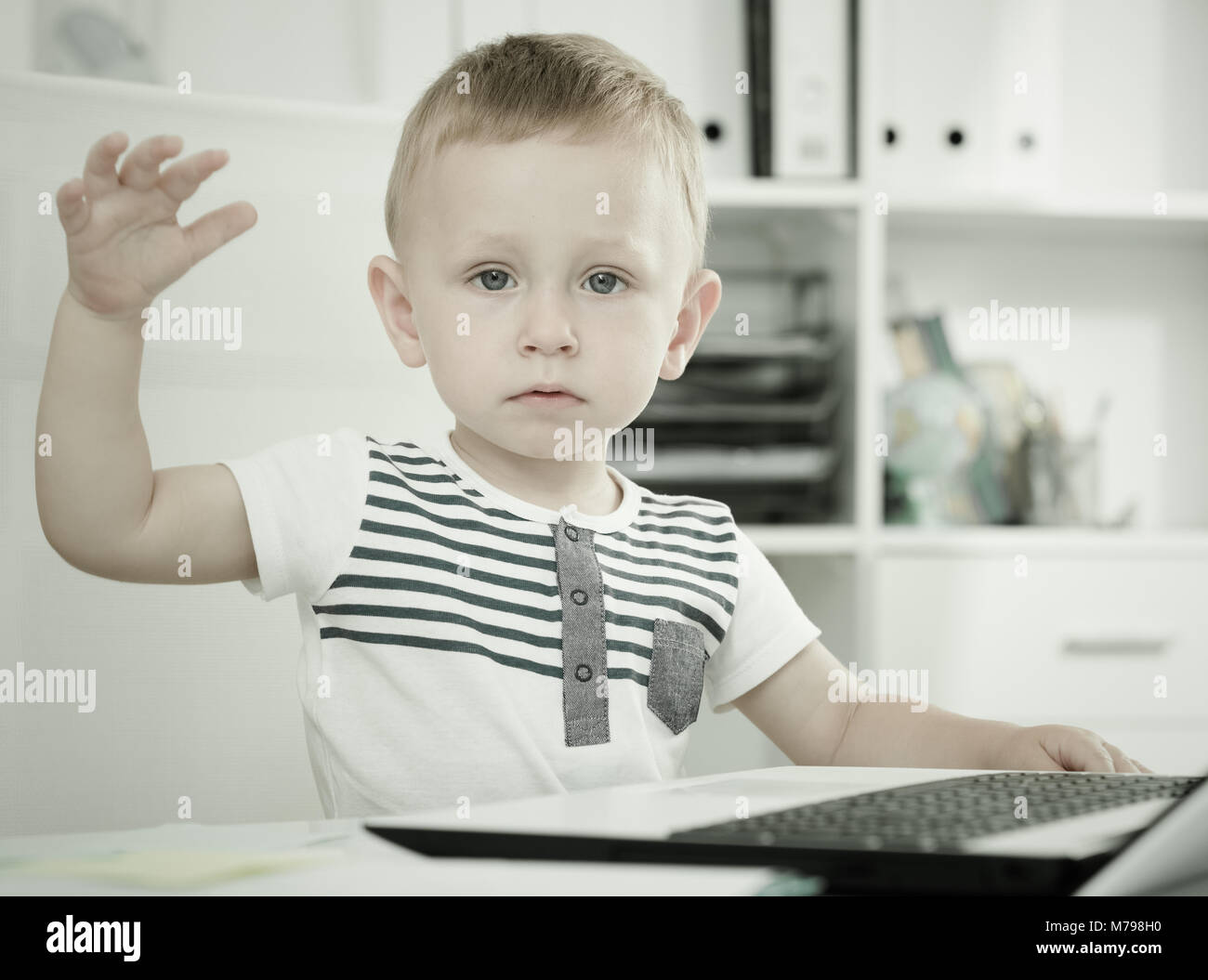 Young cute kid is surfing in internet on laptop in the office Stock ...