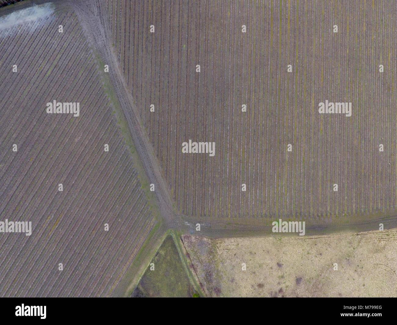 Eccles Kent High Resolution Stock Photography and Images - Alamy