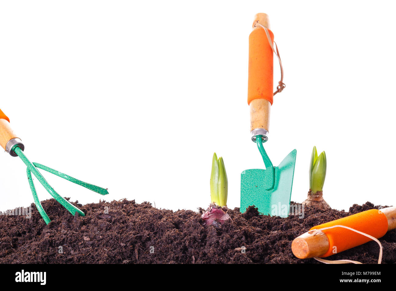Gardening tool and small plant in soil isolated on white Stock Photo ...