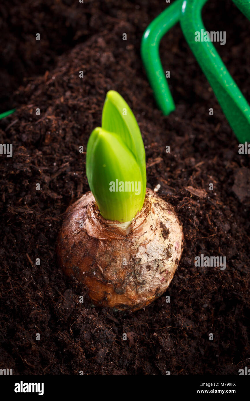 Soil texture from above hi-res stock photography and images - Alamy