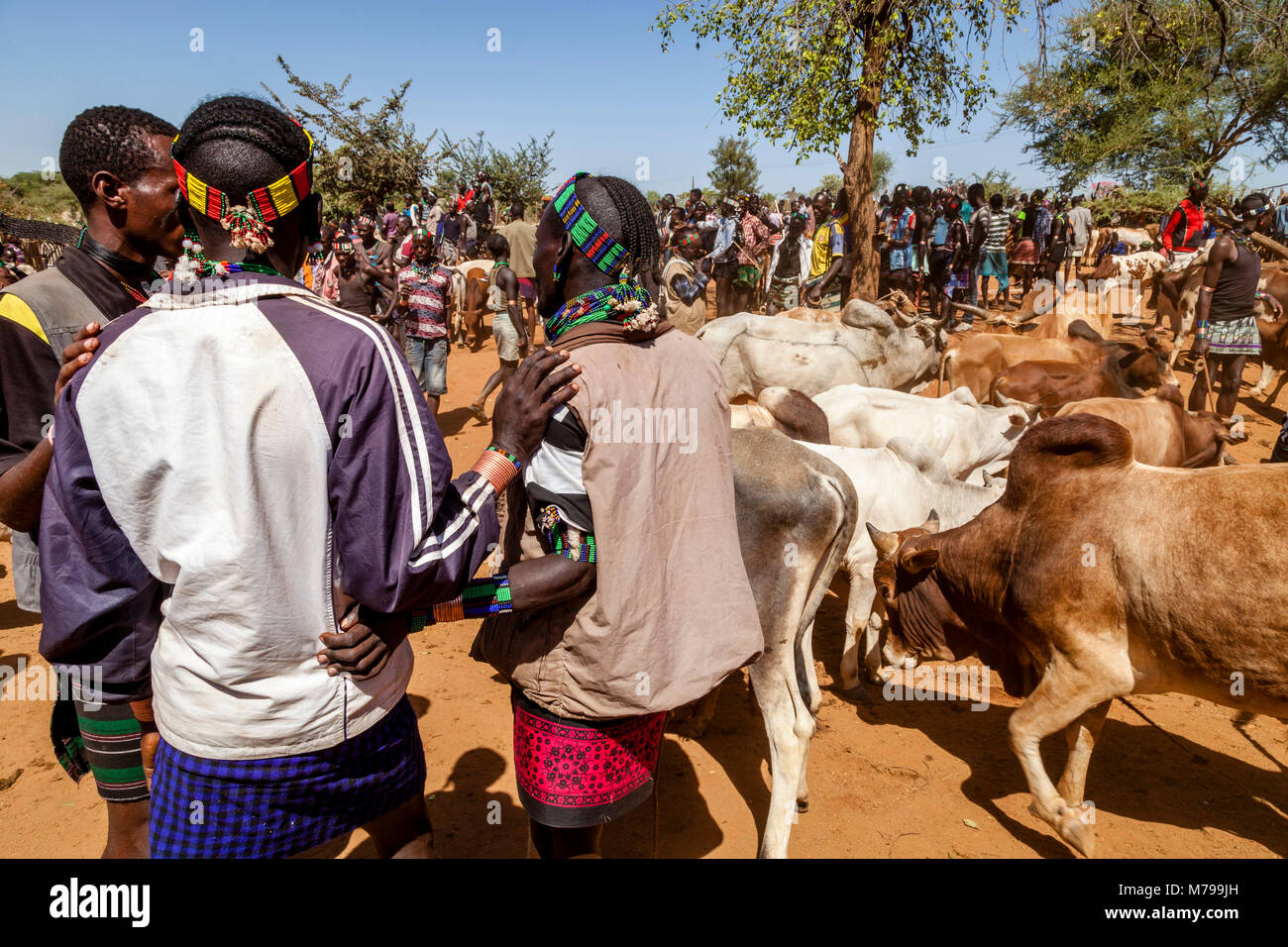 Young Hamar Men Buying and Selling Livestock At The Weekly Tribal ...