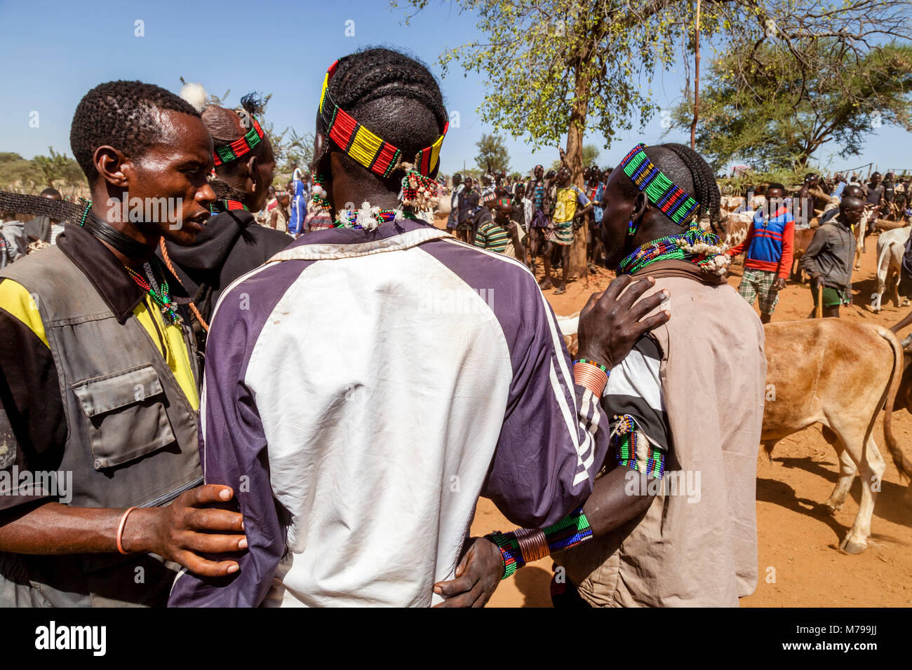 Young Hamar Men Buying and Selling Livestock At The Weekly Tribal ...