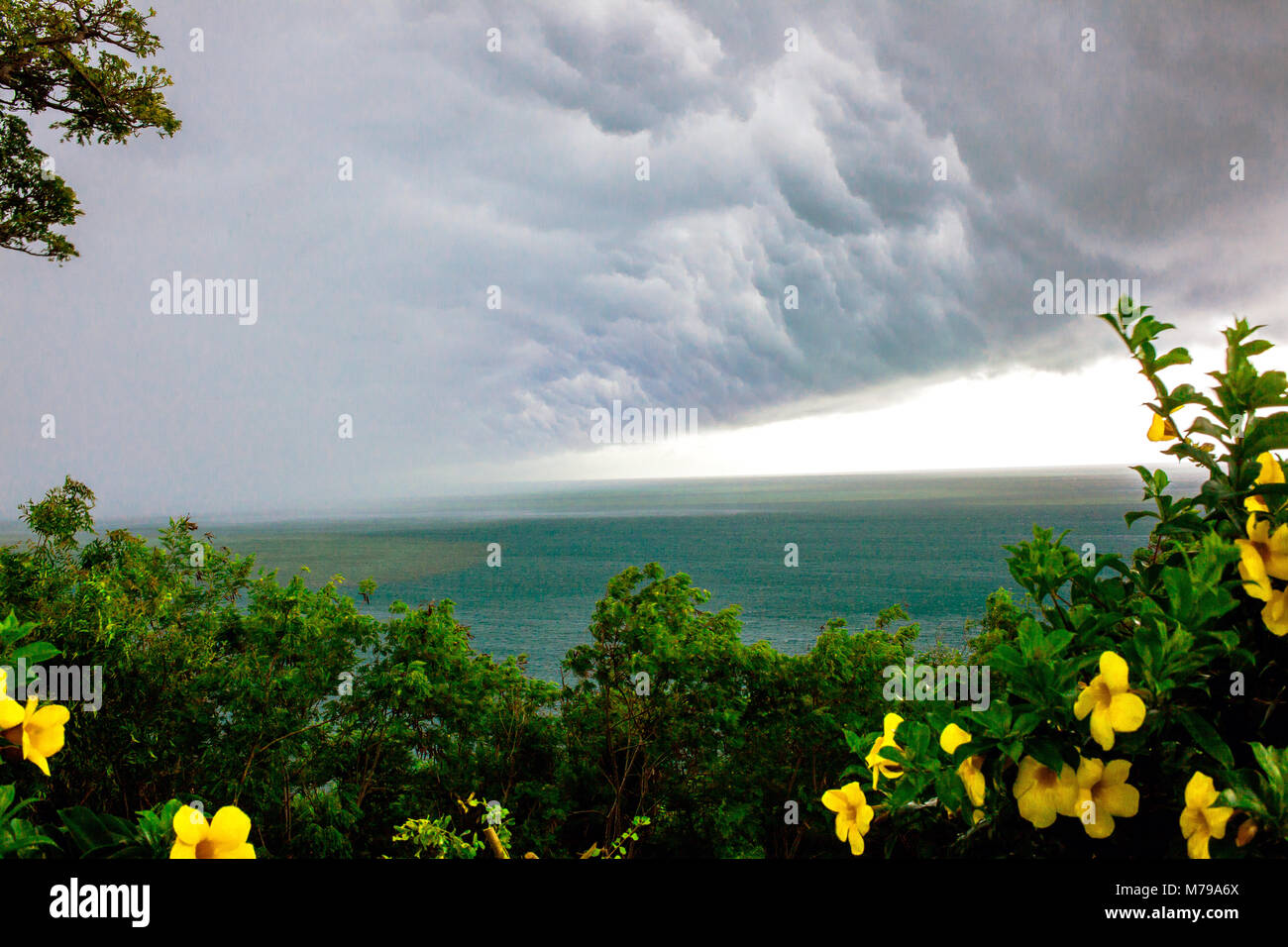Tropical storm is moving over Atlantic Ocean, approaching land. Yellow ...