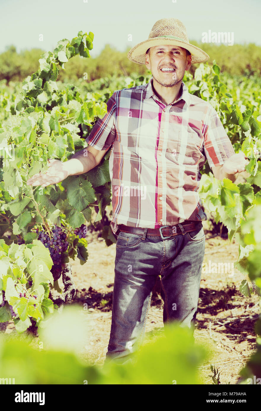 Smiling man gardener standing in grapes tree yard Stock Photo - Alamy