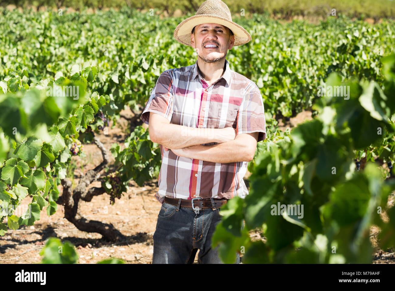 Smiling spanish mature man hi-res stock photography and images - Alamy