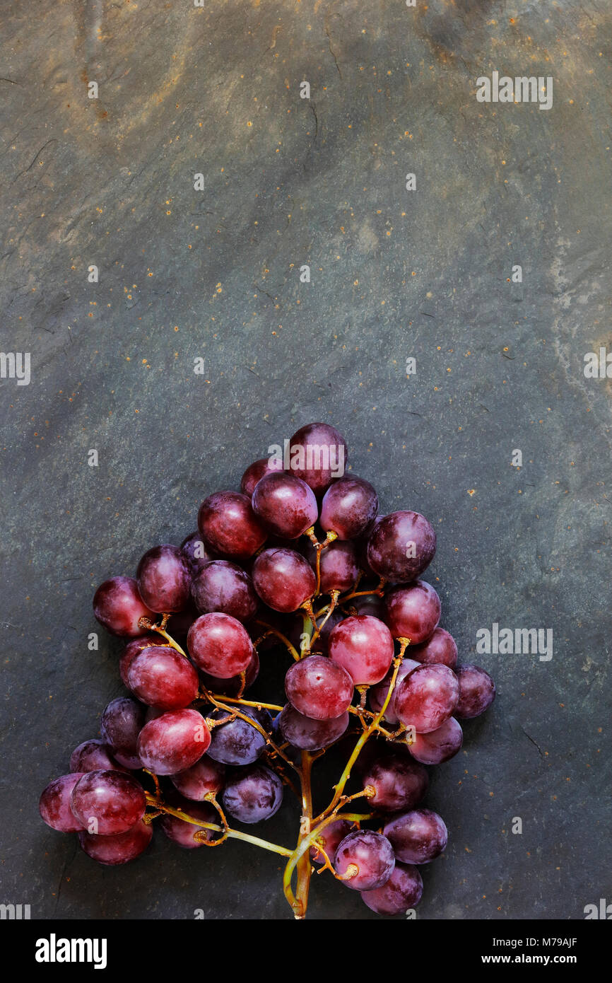 Dark Food - Fresh unpolished dark red black grapes on black slate stone ...
