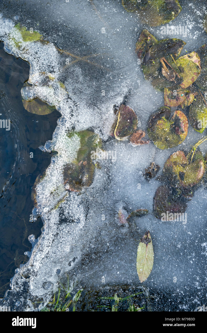 Garden pond winter hi-res stock photography and images - Alamy