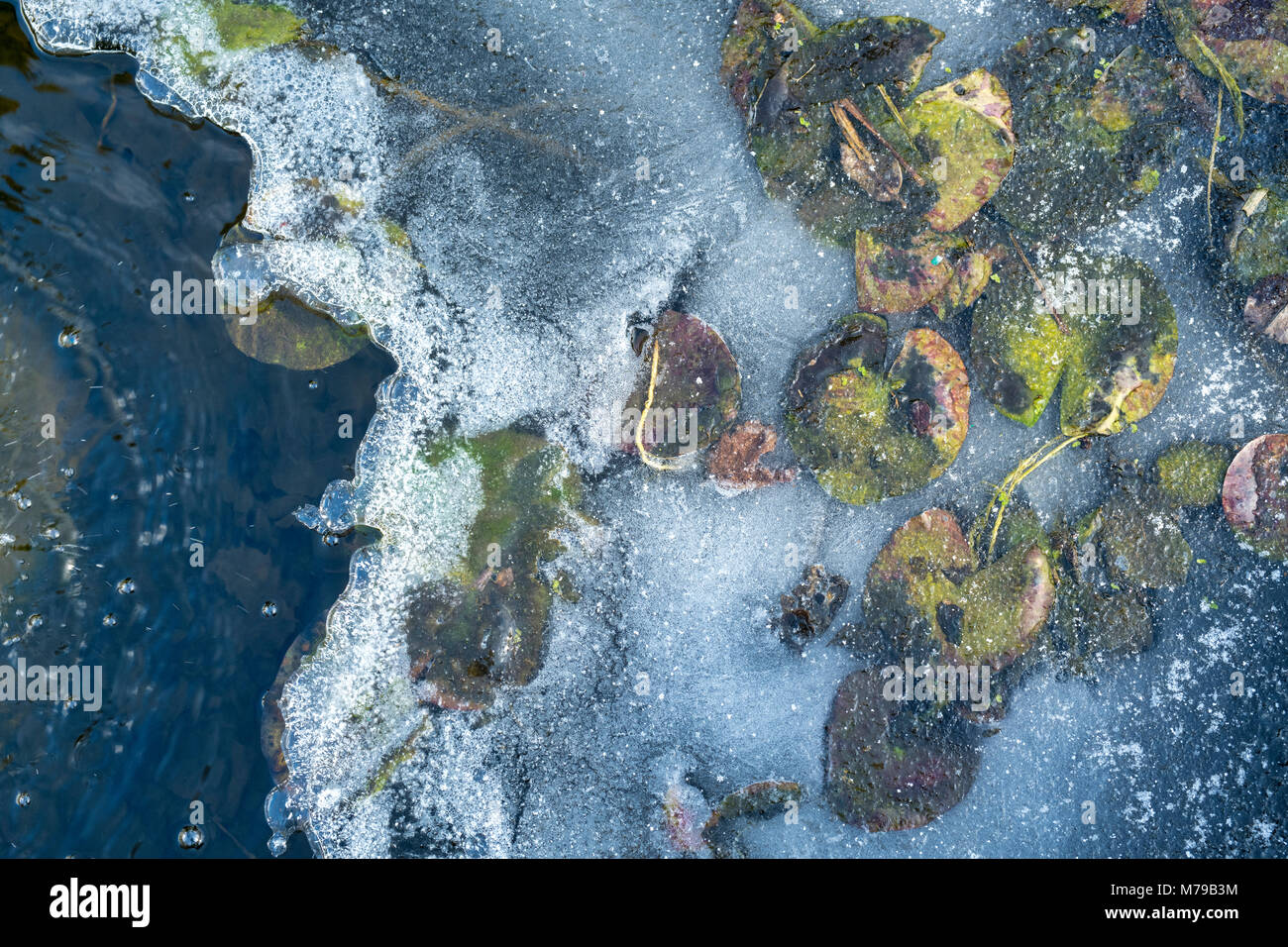 Garden pond winter hi-res stock photography and images - Alamy