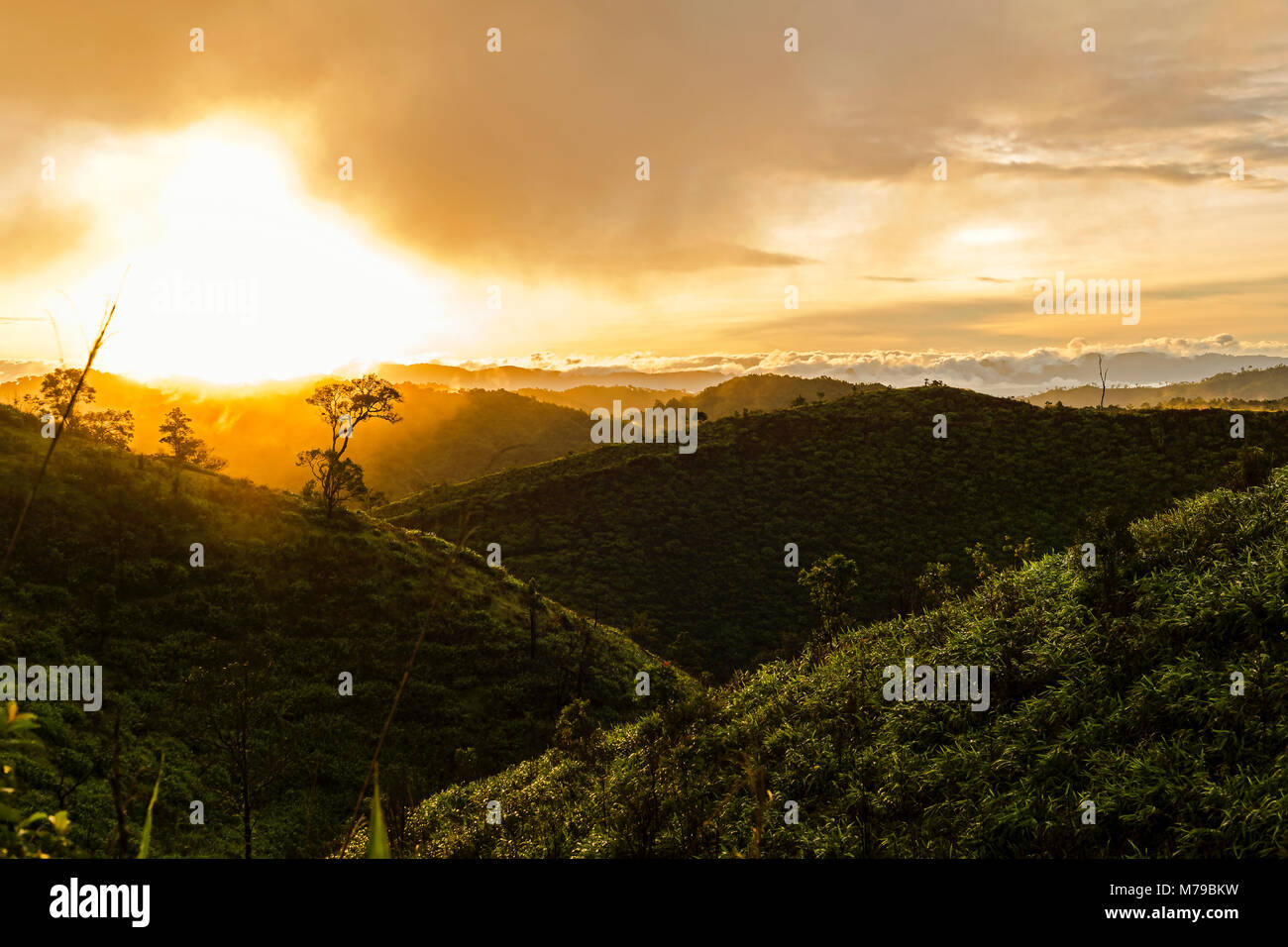 Blurred of mountain landscape view in the morning Stock Photo - Alamy