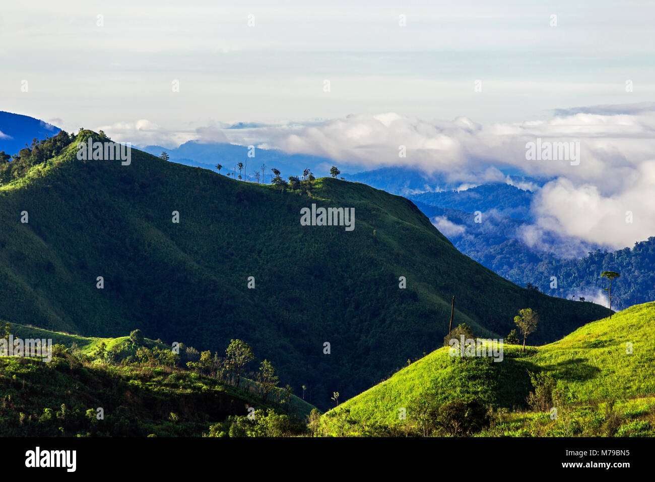 Mountain landscape view in the morning Stock Photo - Alamy