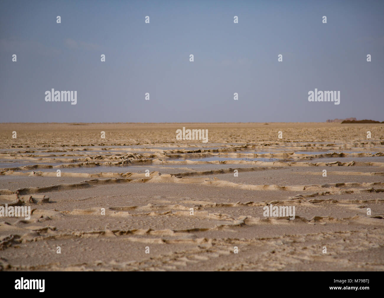 Salt mining in danakil depression, Afar region, Dallol, Ethiopia Stock ...