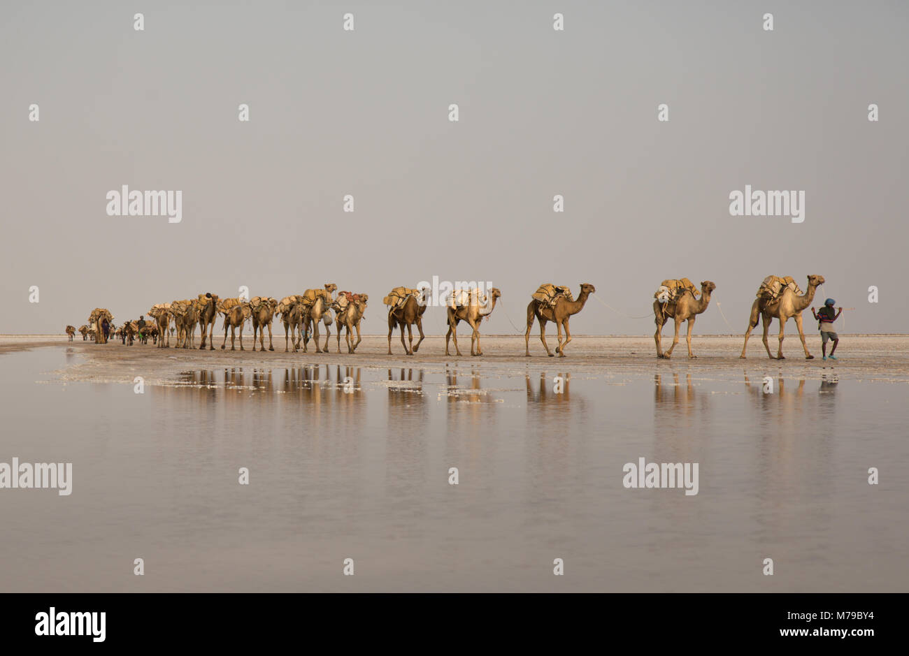 Dallol ethiopia people hi-res stock photography and images - Alamy