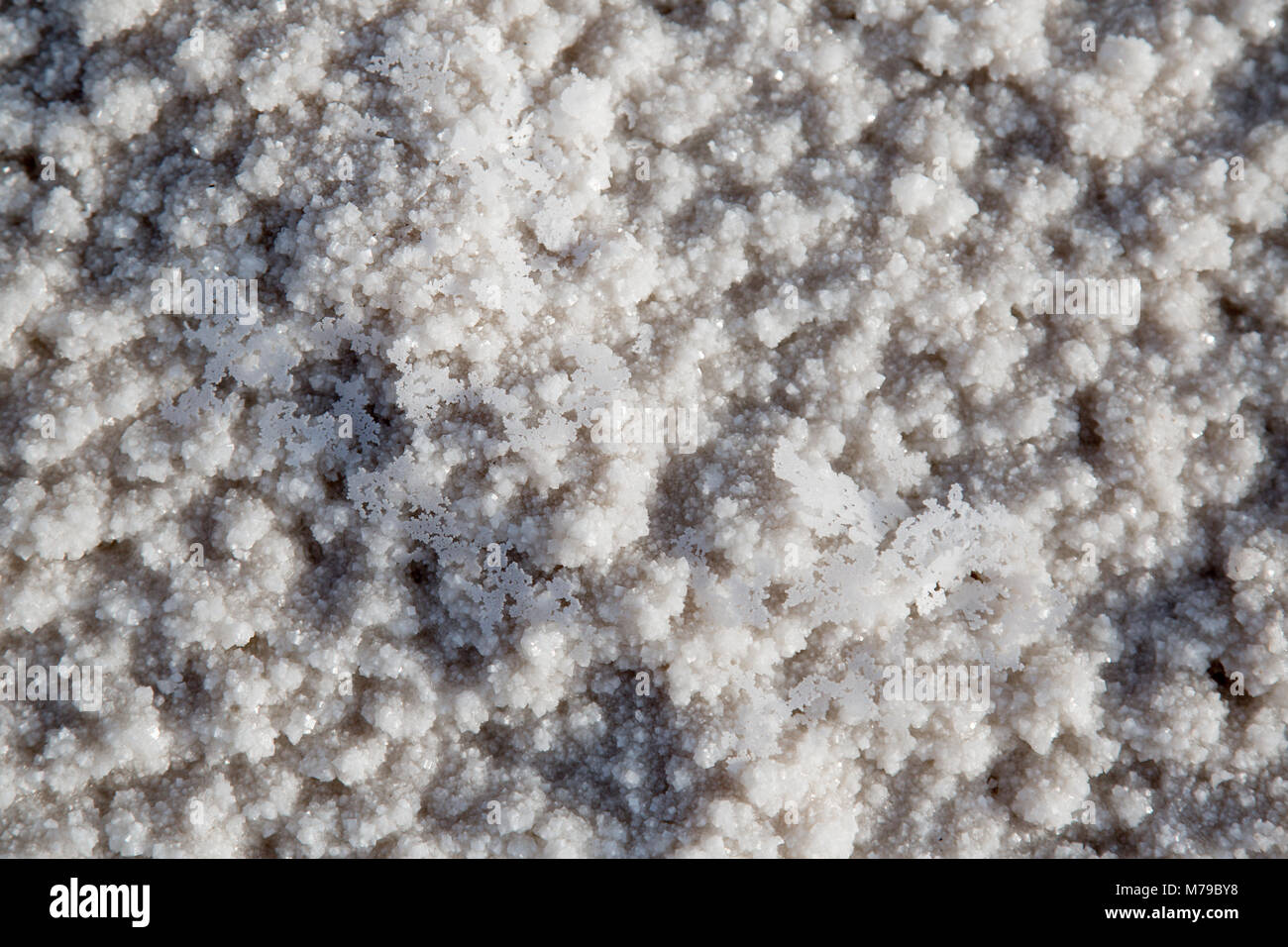 Salt mining in danakil depression, Afar region, Dallol, Ethiopia Stock ...