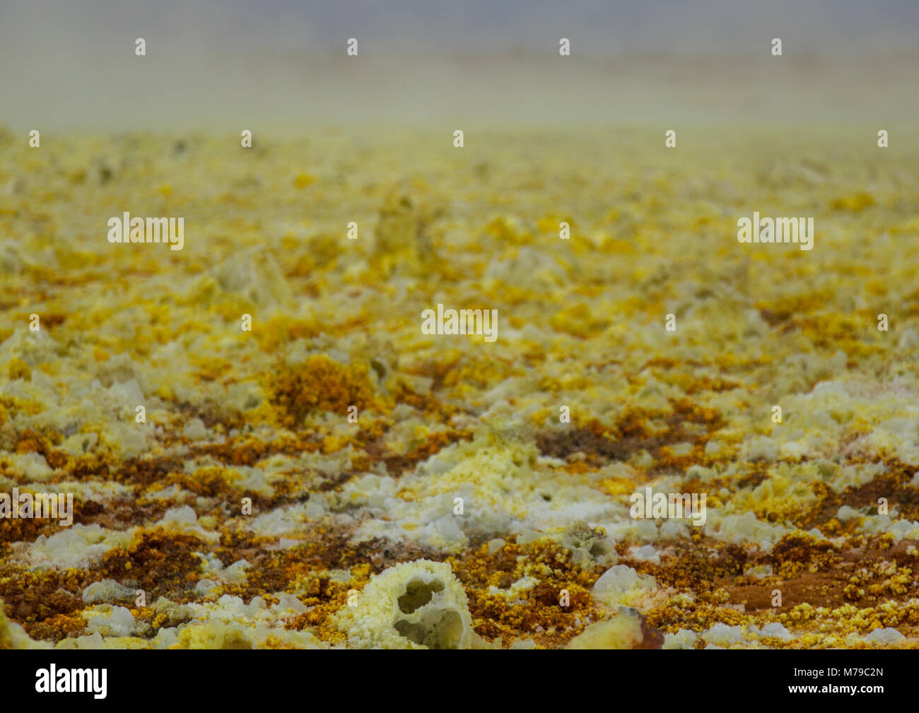The colorful volcanic landscape of dallol in the danakil depression ...