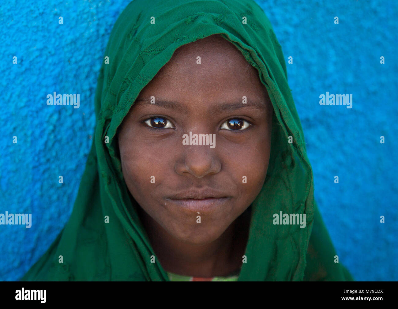 Portrait of an afar tribe girl with a veil, Afar region, Semera ...