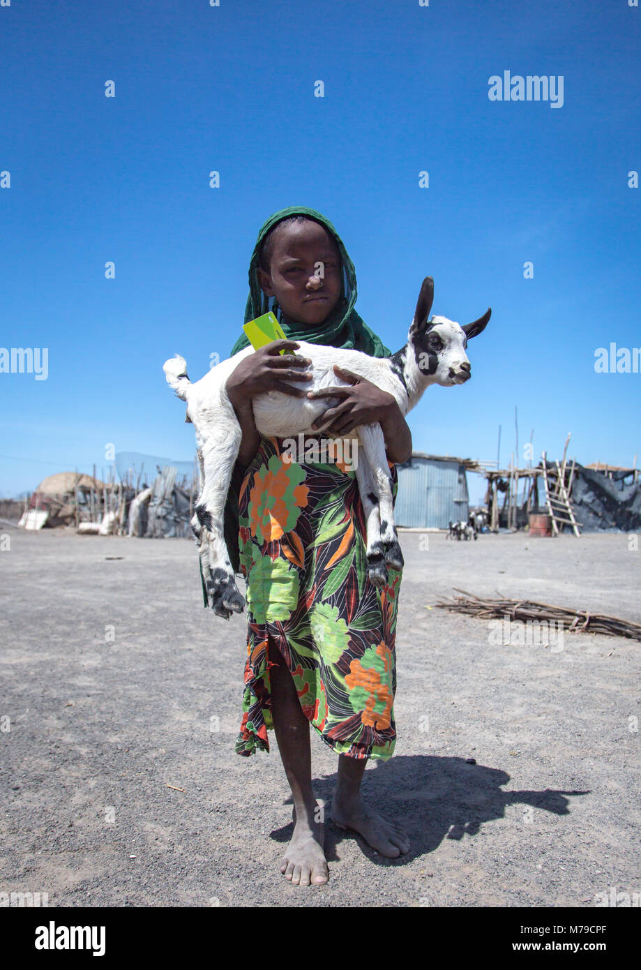 Afar tribe girl holding her goat, Afar region, Semera, Ethiopia Stock ...