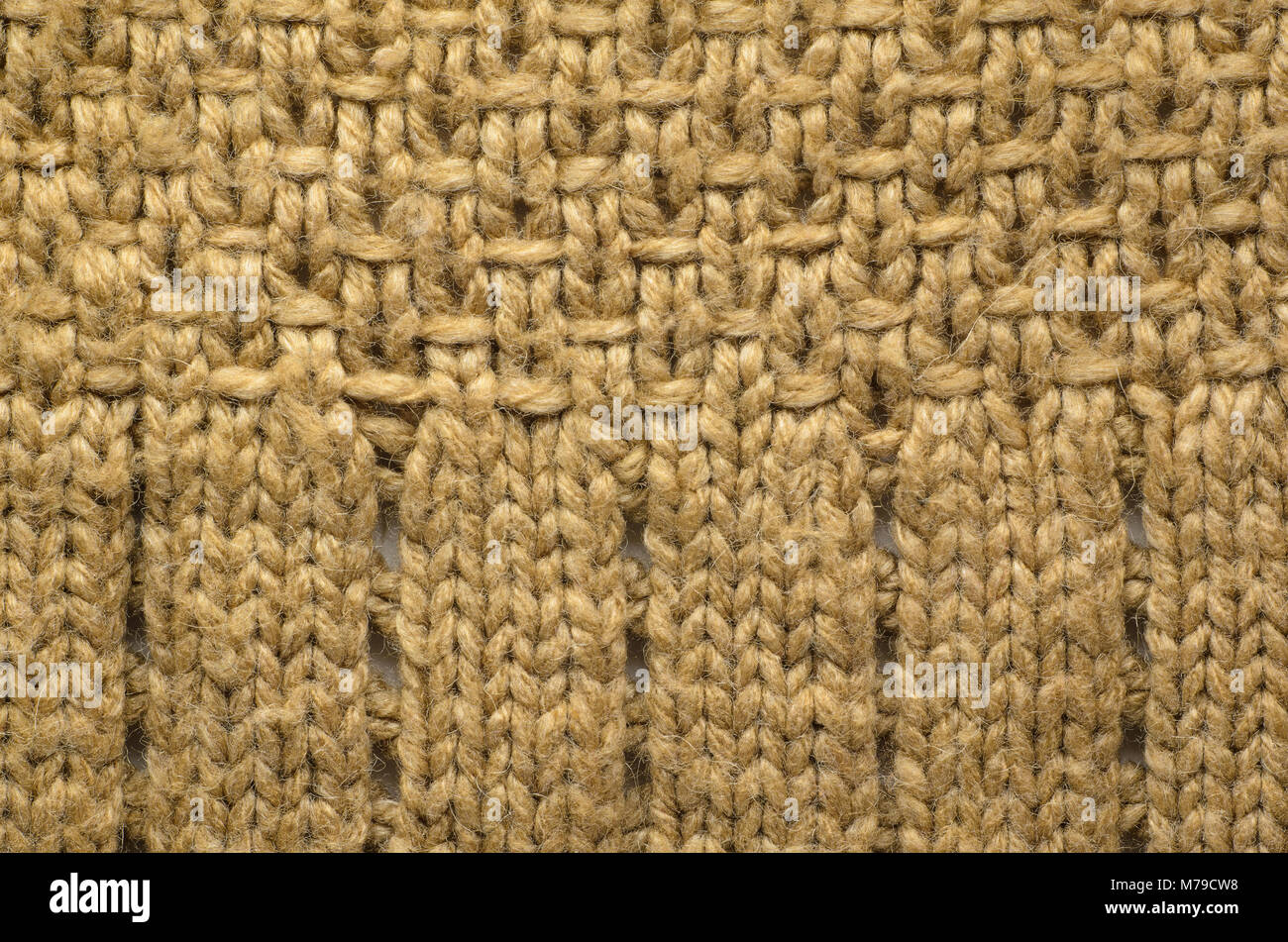Beige Texture of a Knitted Sweater with Two Types of Knitting. Knit ...