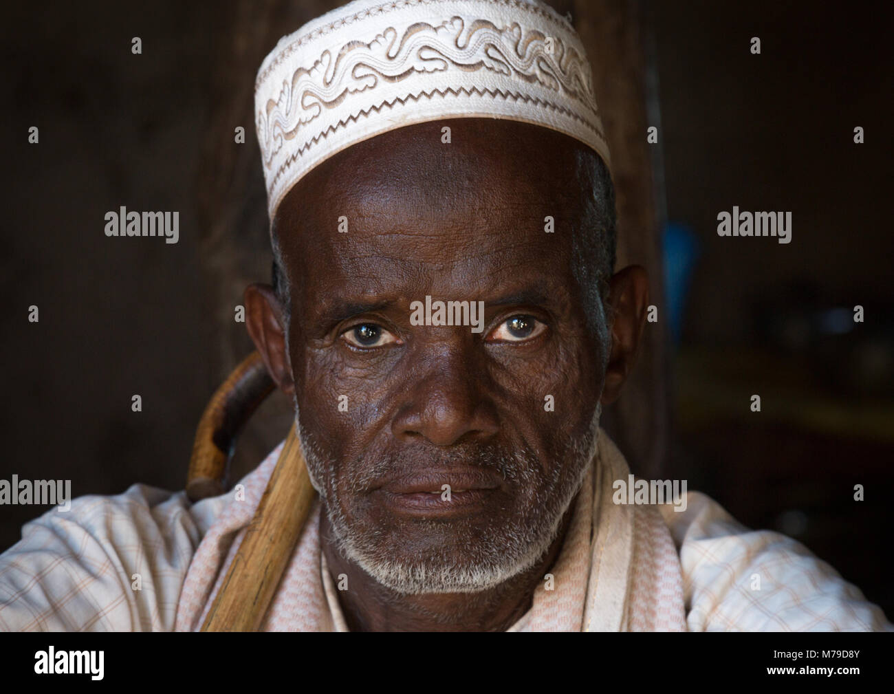 Portrait of an afar tribe man inside his hut, Afar region, Afambo ...