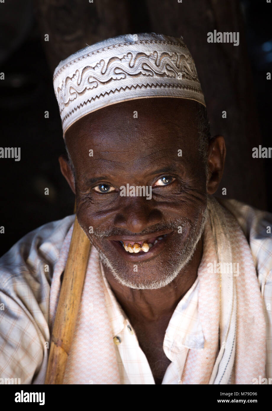 Portrait of an afar tribe man inside his hut, Afar region, Afambo ...