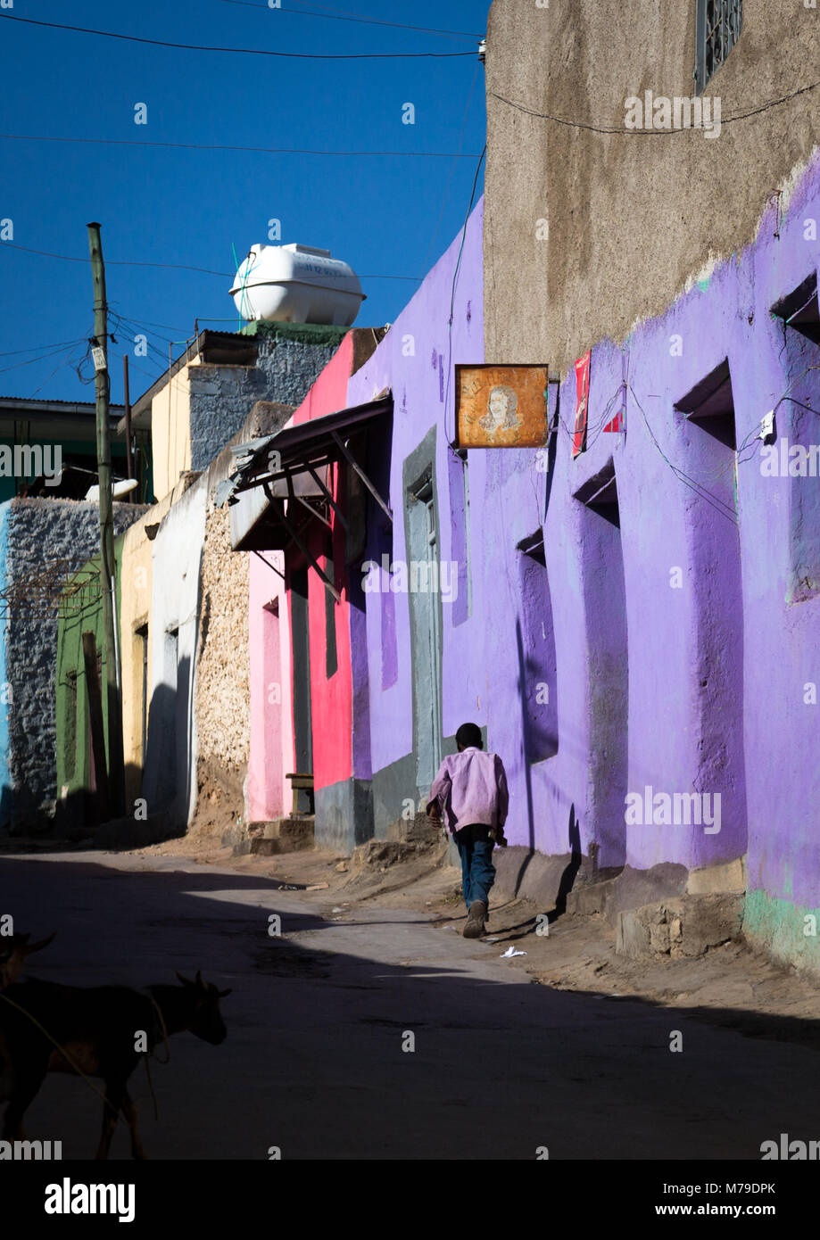 Harari street with colorful limestone walls in the old town centre ...