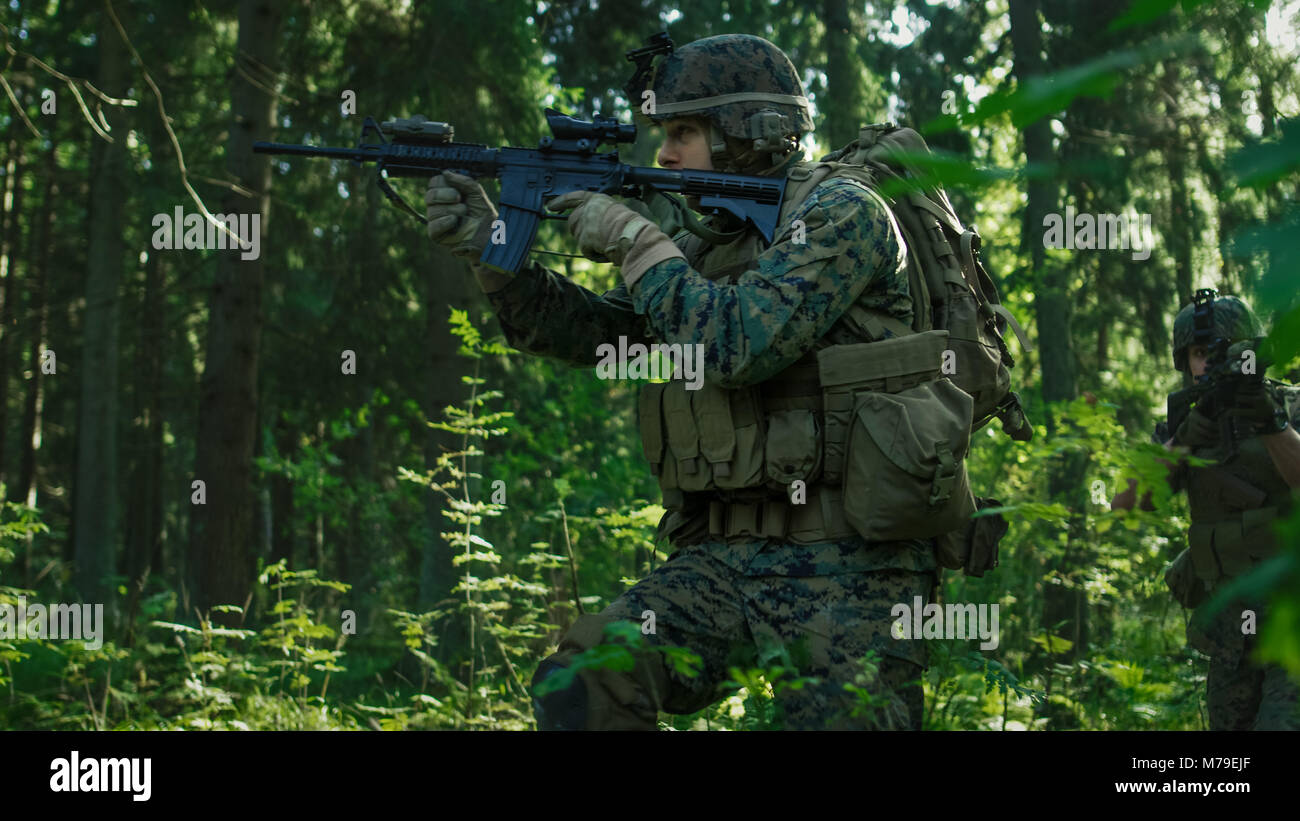 Faces of the forest us forest service hi-res stock photography and ...