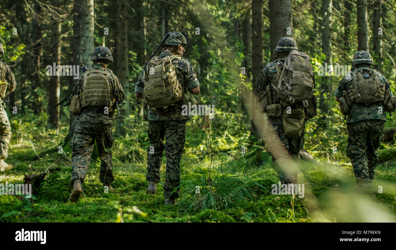 Squad of Five Fully Equipped Soldiers in Camouflage on a Reconnaissance ...