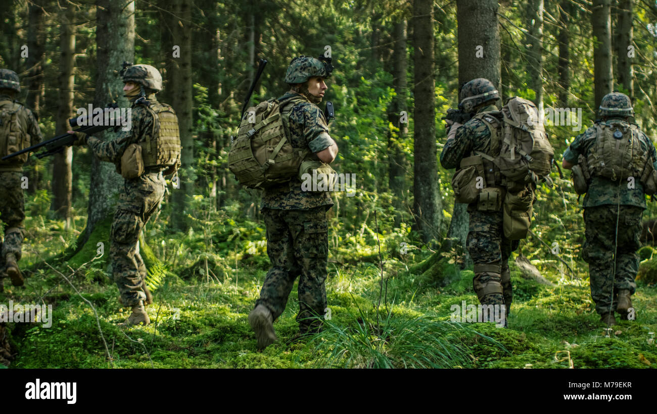 Squad of Five Fully Equipped Soldiers in Camouflage on a Reconnaissance ...