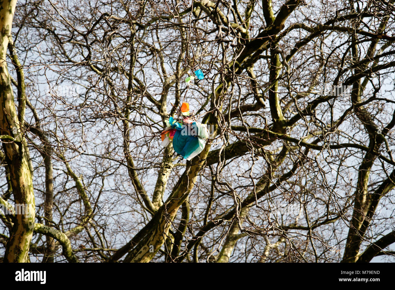 Hackney. London. Litter caught in tree branches Stock Photo - Alamy
