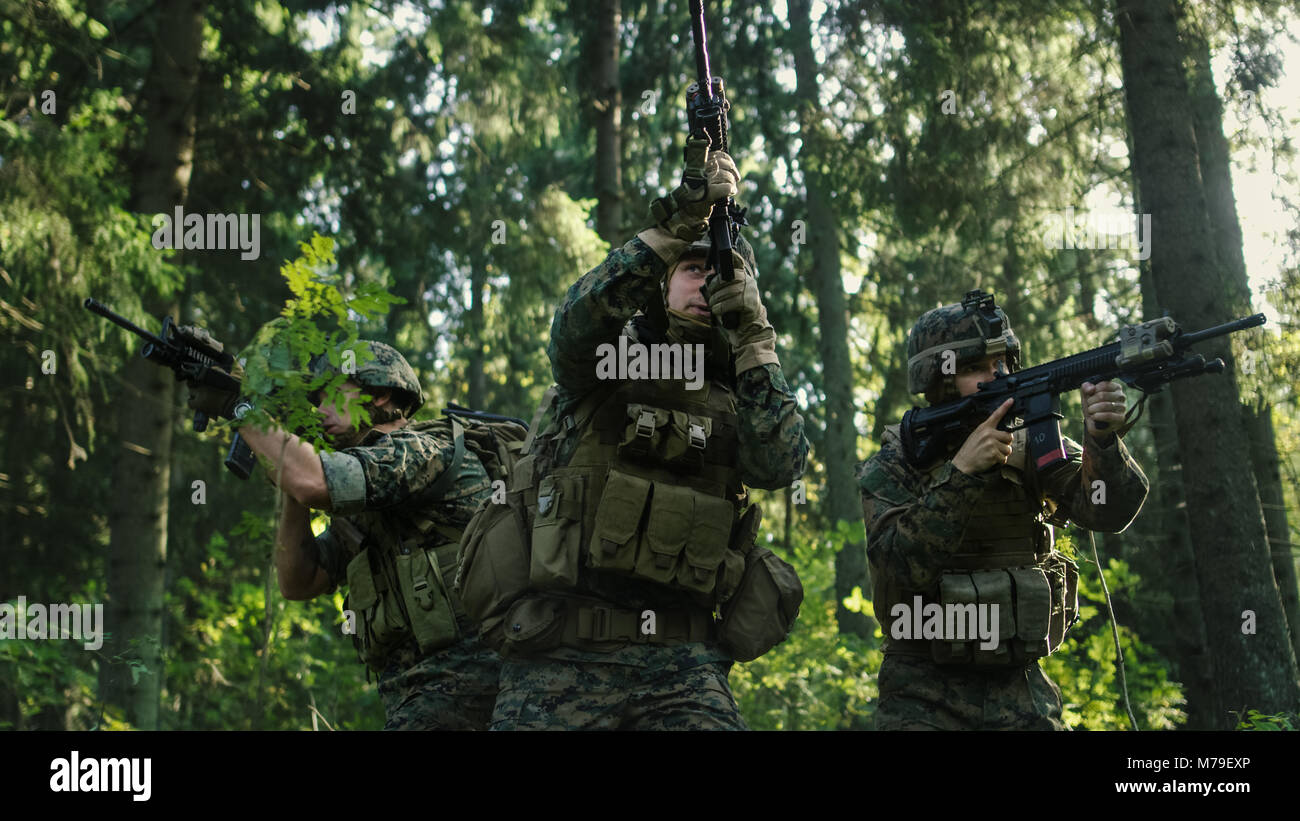 Us military rifles hi-res stock photography and images - Alamy