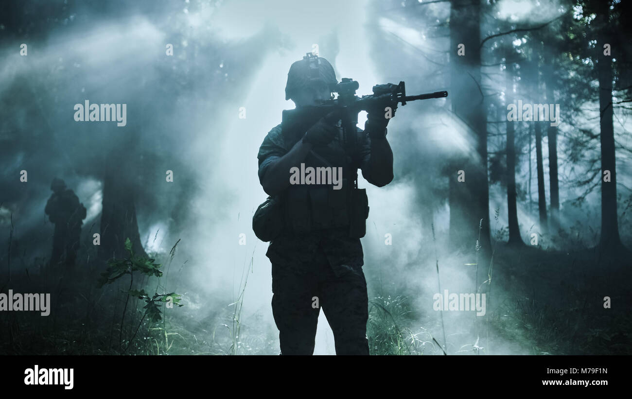 Silhouette of the Fully Equipped Soldier Moving Through Smokey Forest ...
