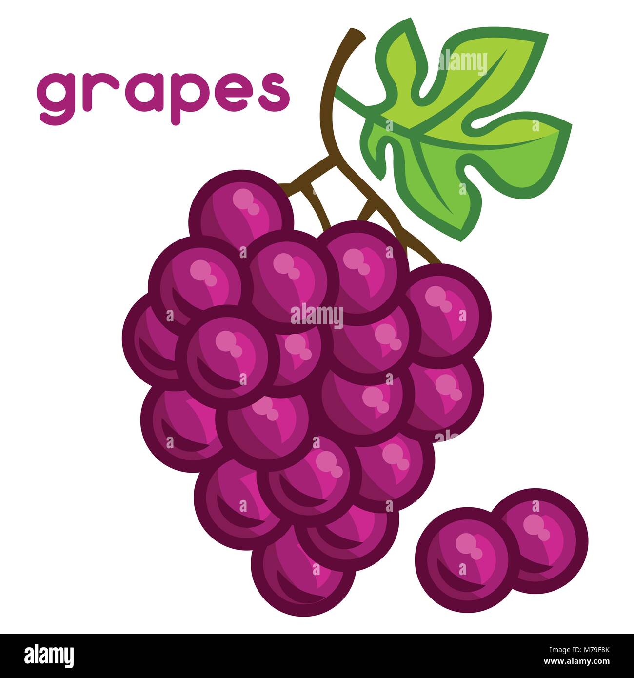Stylized illustration of fresh grapes on white background Stock Vector ...