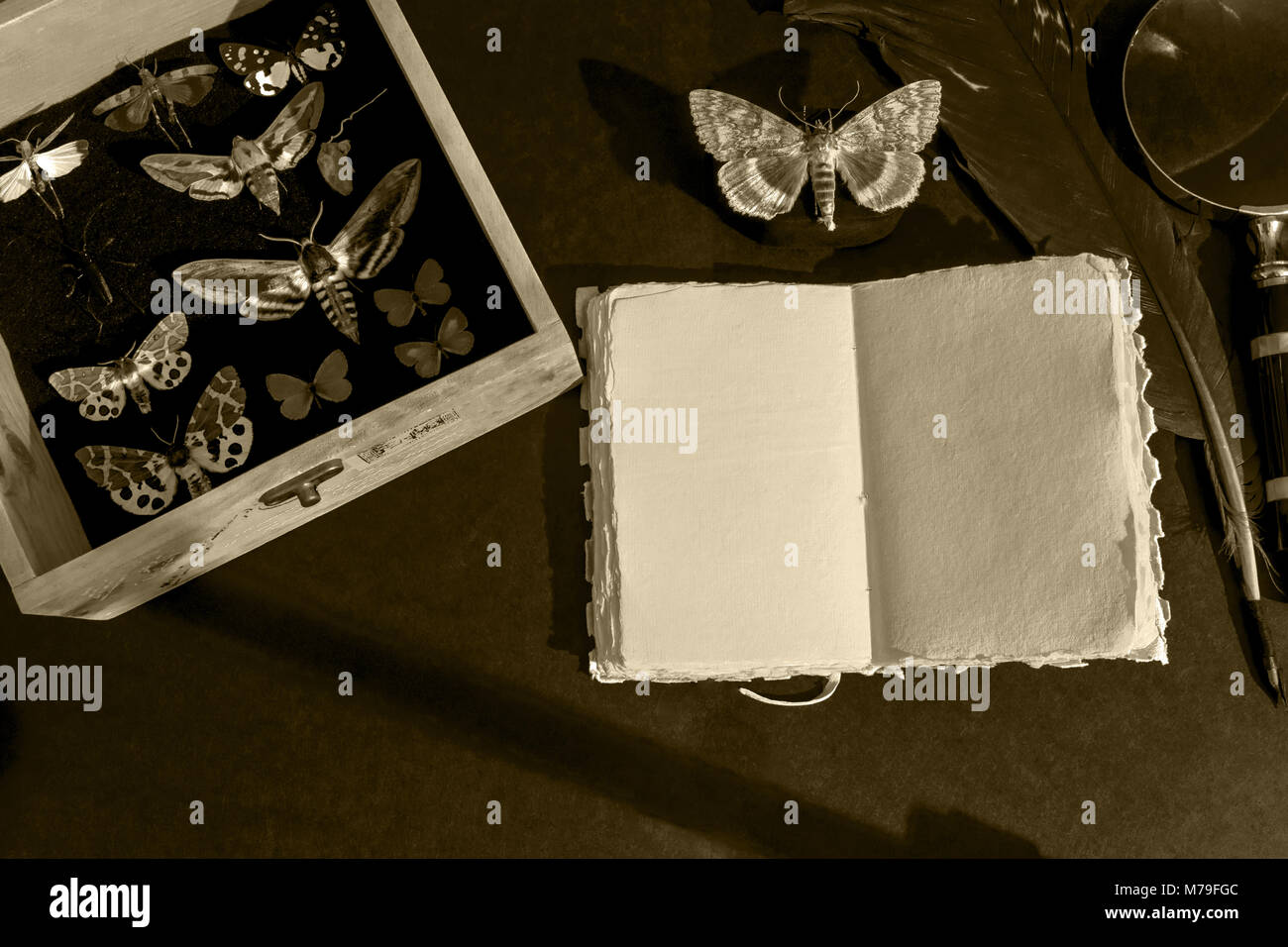 Butterflies collector background composition: old wooden collection box ...